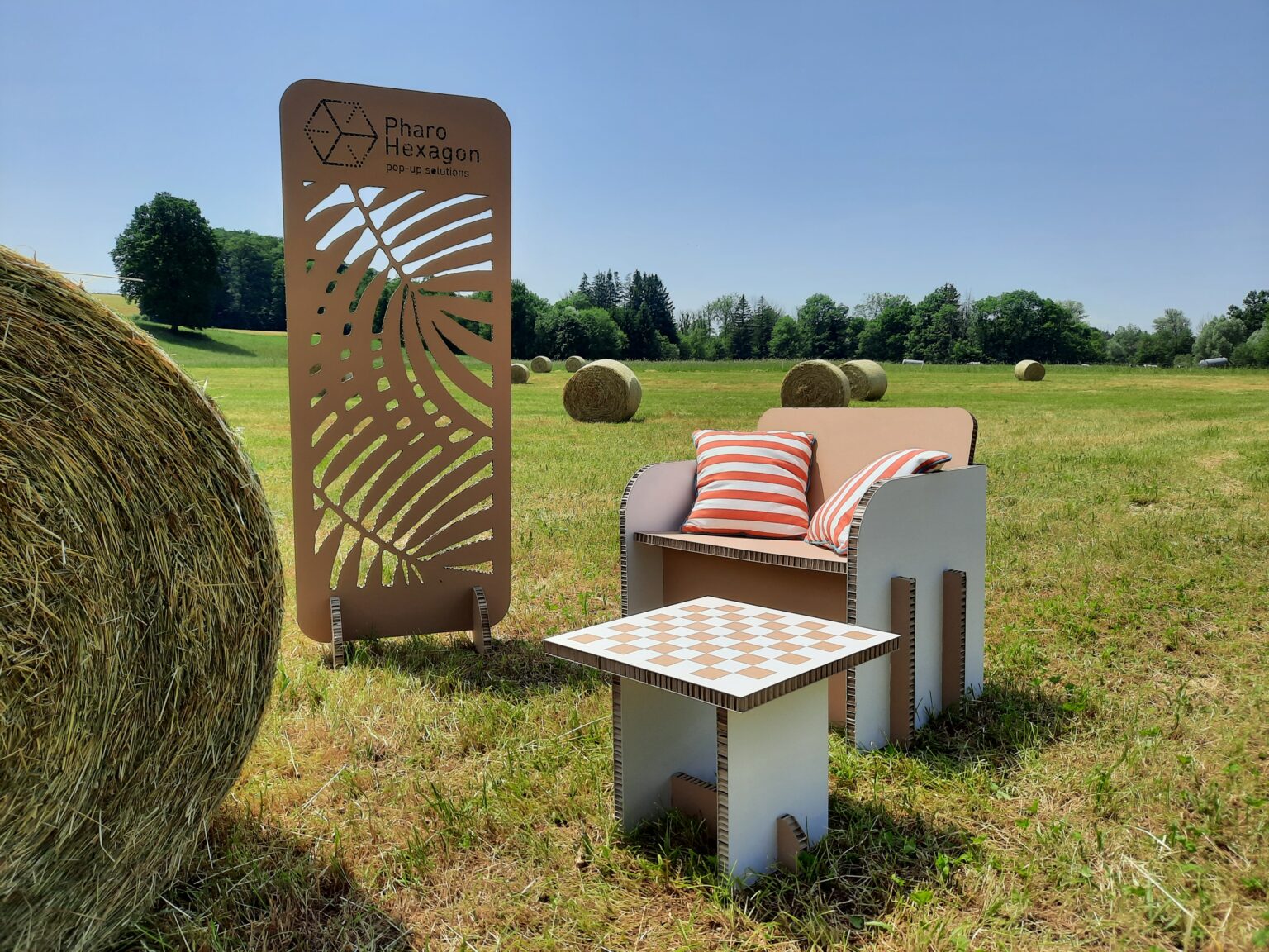 CARDBOARD – A NUTRIENT FOR GARDEN SOIL – Pharo Hexagon